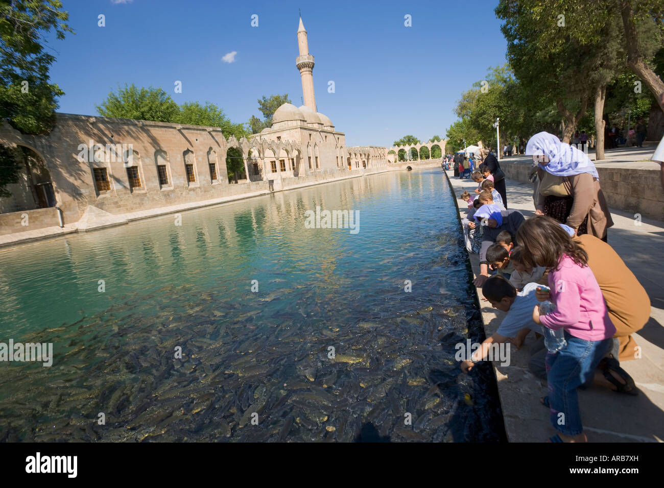 People watching the holy carp Halil ur Rahman Friend of God Mosque and ...