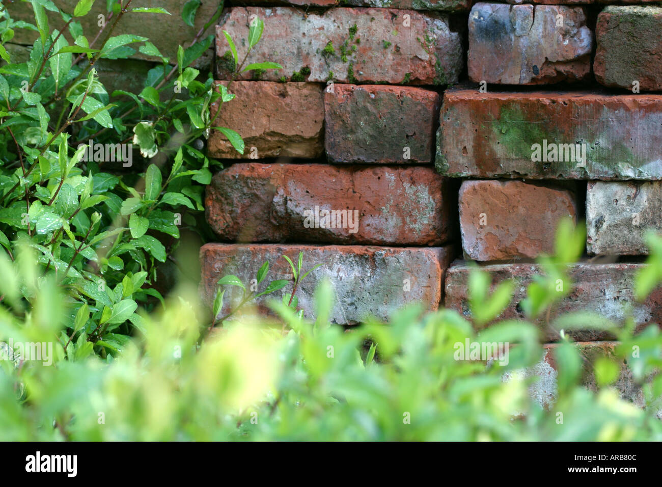 Purple blue red bricks hi-res stock photography and images - Alamy