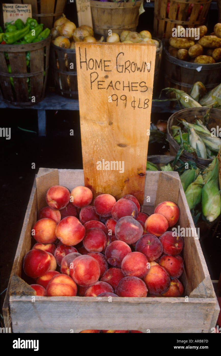 Peaches for sale outside an organic grocery store in the Castkills New ...