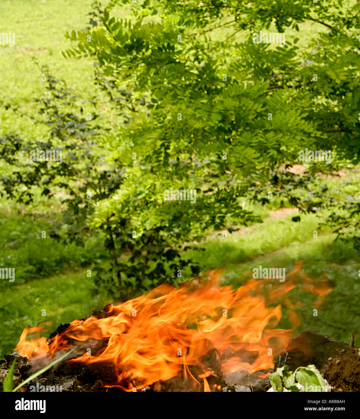Campfire cooks hi-res stock photography and images - Alamy