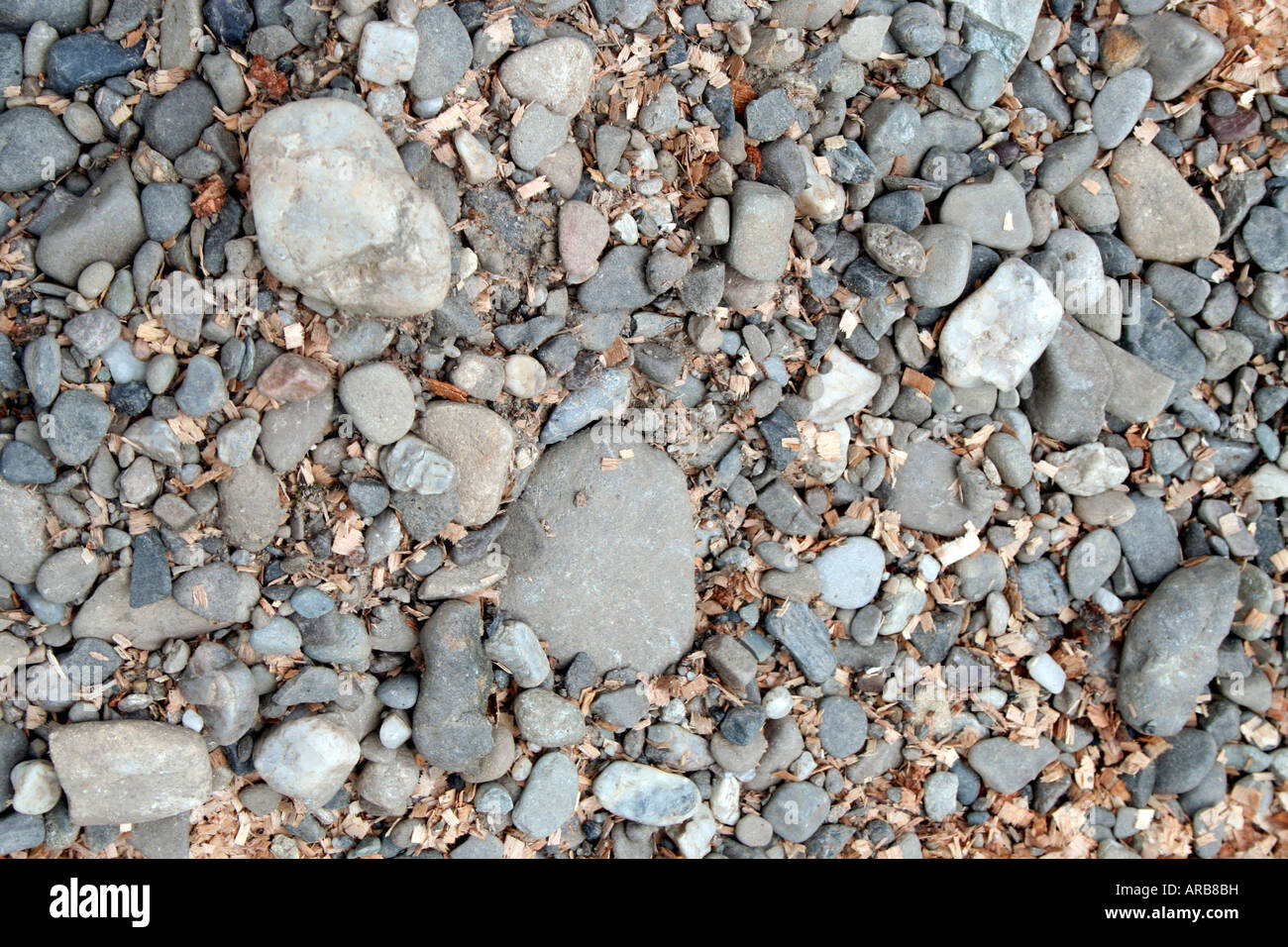 Landscape rocks with brushes hi-res stock photography and images - Alamy