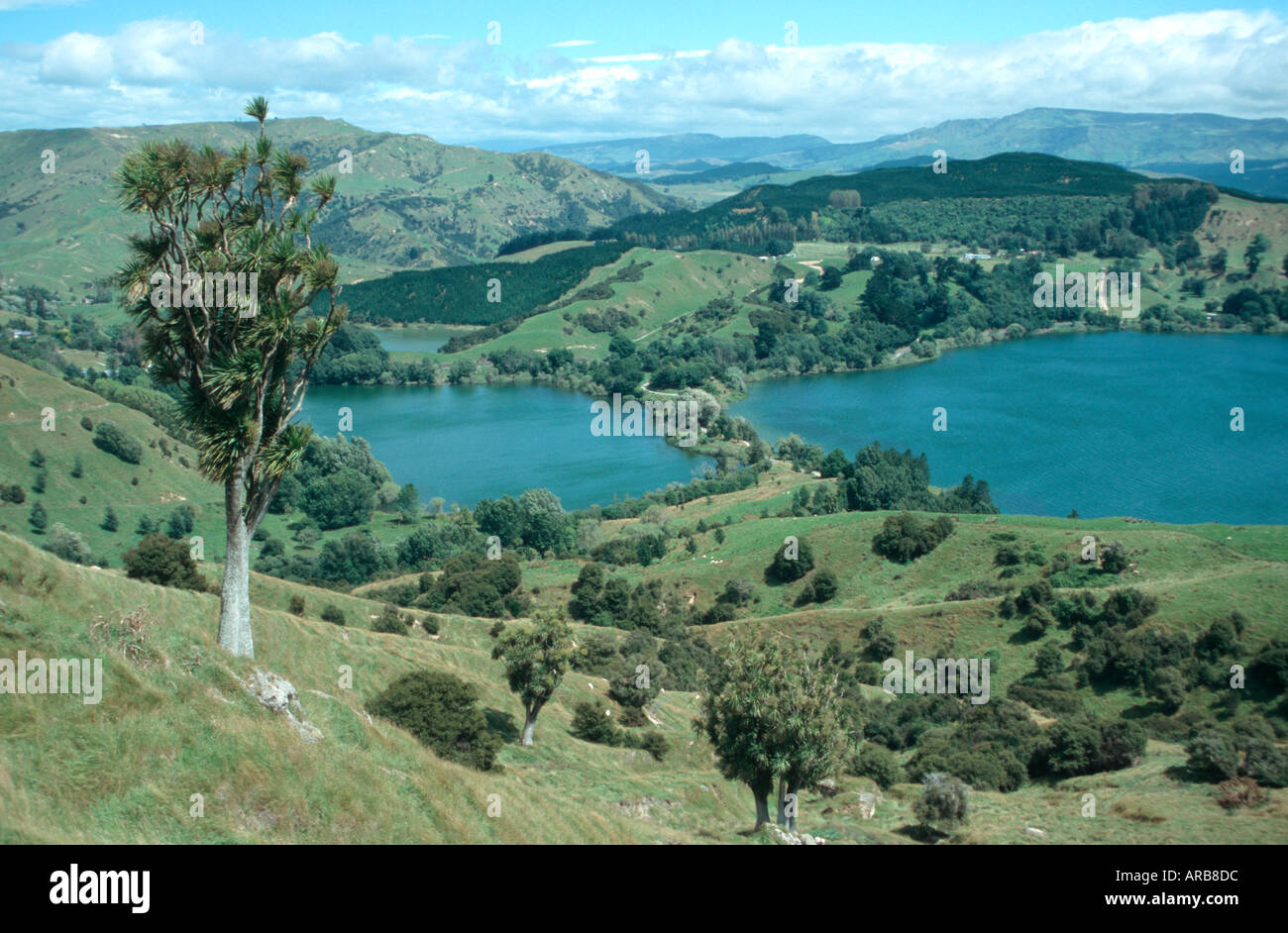 Water front from table mountain hi-res stock photography and images - Alamy