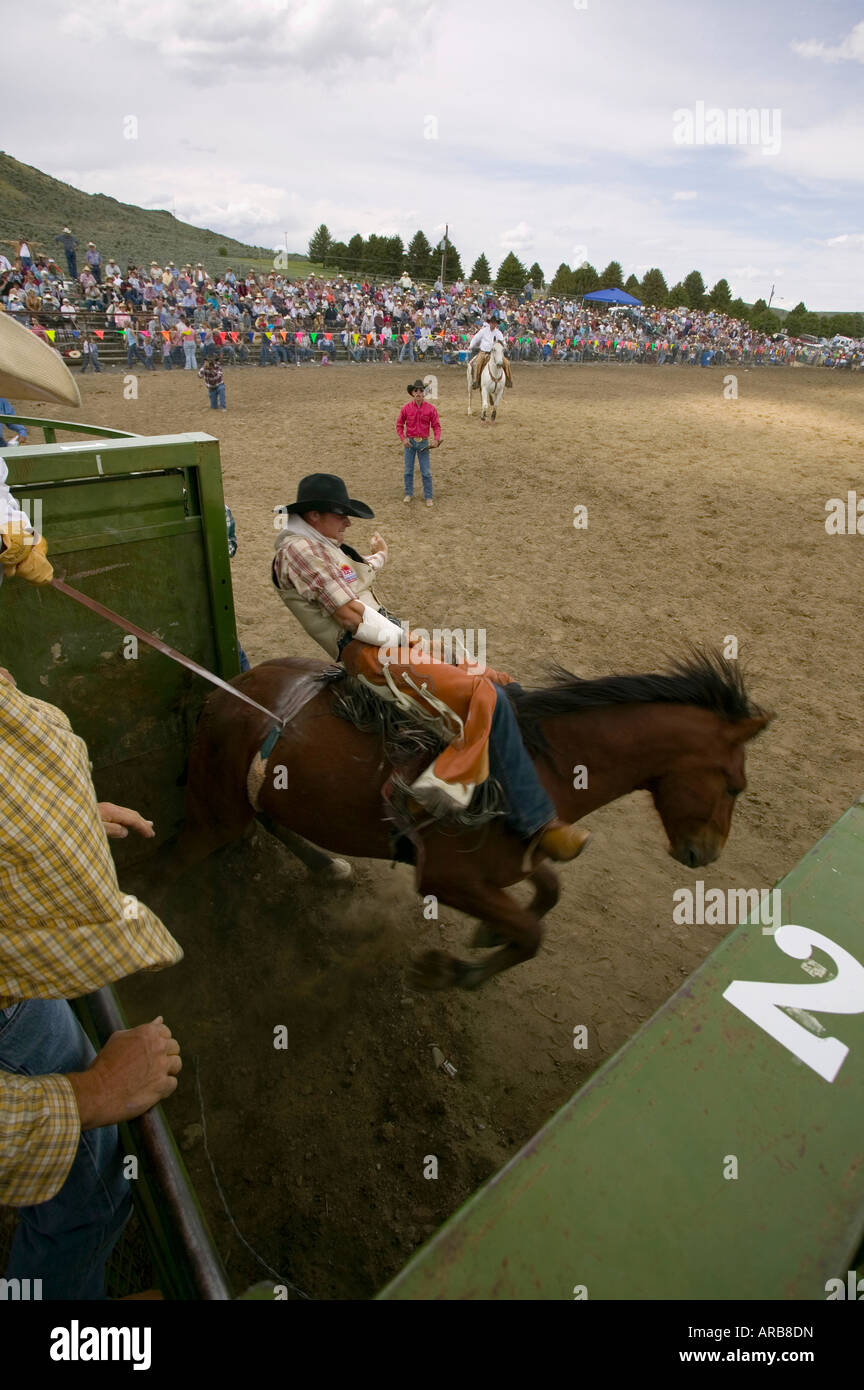 Out of the chute hi-res stock photography and images - Alamy