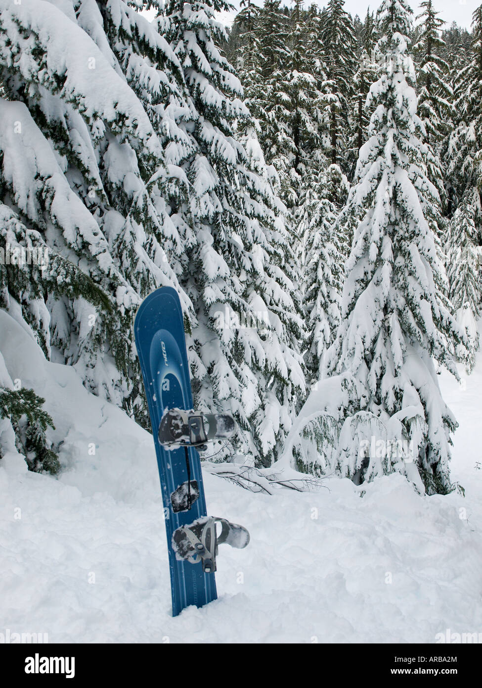 A snowboard stuck into the snow Stock Photo - Alamy