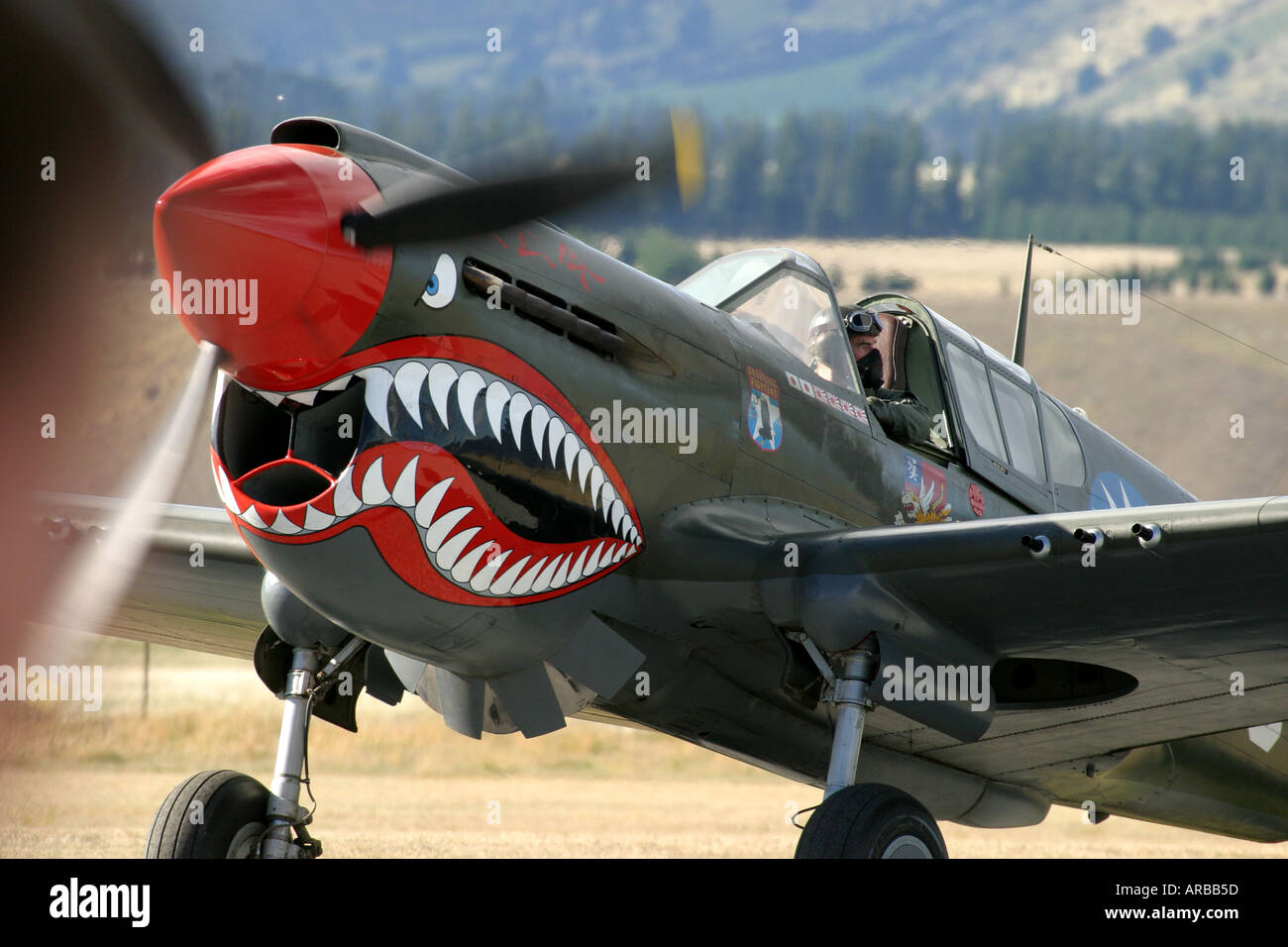 Curtiss P 40 Kittyhawk Stock Photo - Alamy