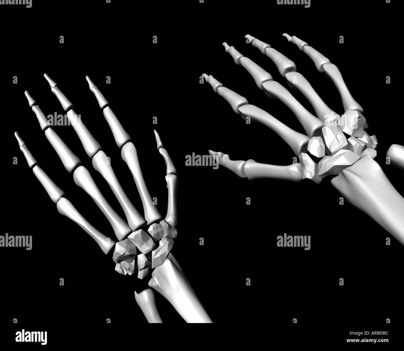 Skeleton hands hi-res stock photography and images - Alamy