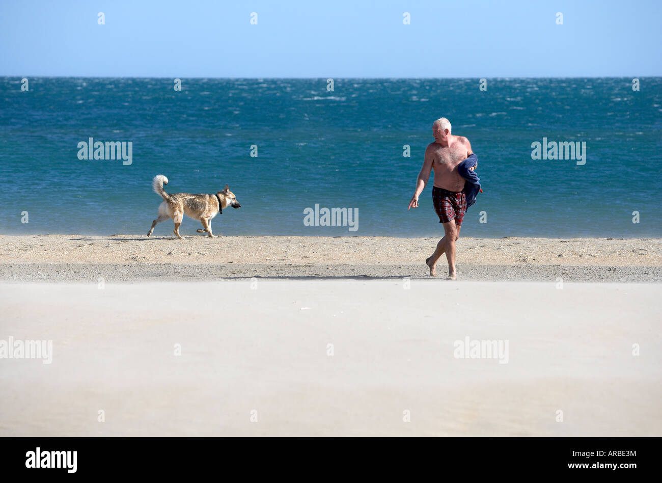 Man dog walk hi-res stock photography and images - Alamy