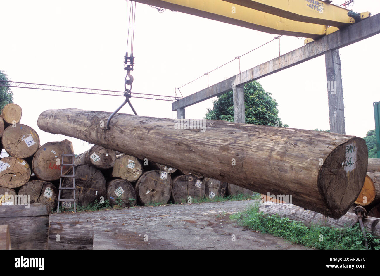 Log hoist hi-res stock photography and images - Alamy