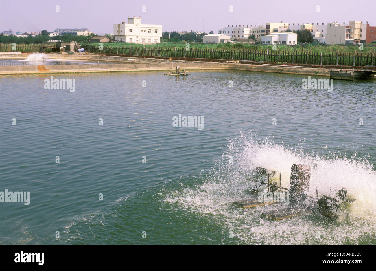 Fish Breeding Pool Stock Photo - Alamy