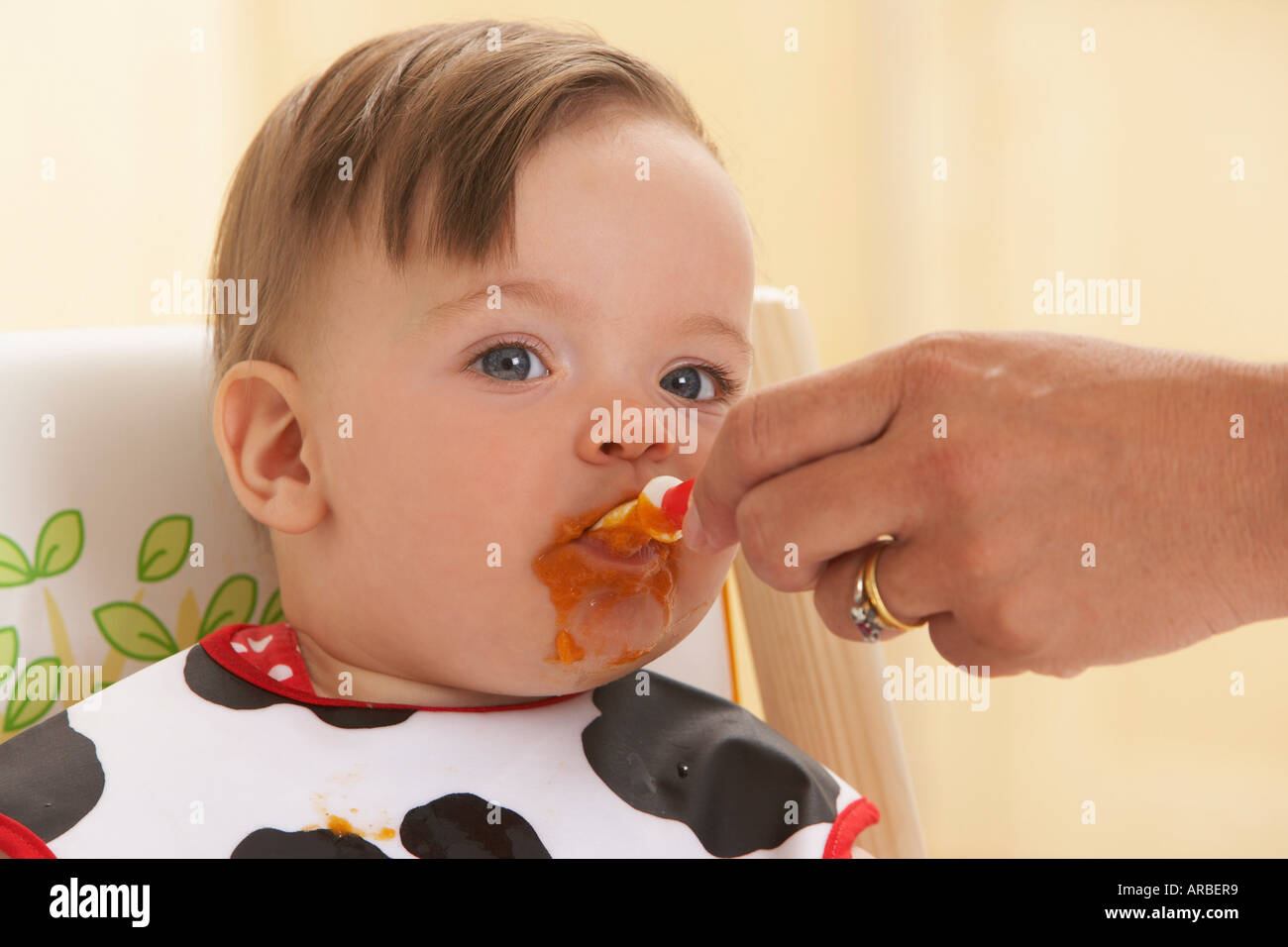 Messy House Animal High Resolution Stock Photography and Images - Alamy