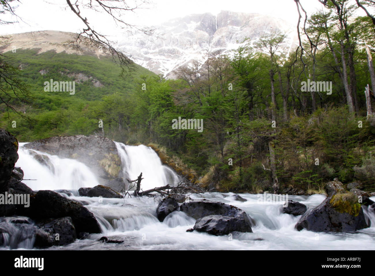 Patagonia Argentina Waterfall on the footstep of the Andes mountains ...