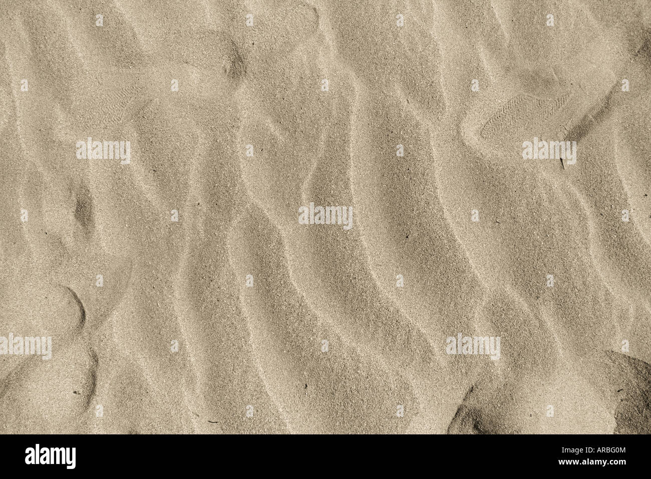 Windblown beaches hi-res stock photography and images - Alamy