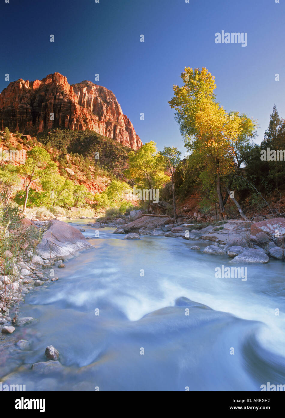 Zion Movement High Resolution Stock Photography and Images - Alamy