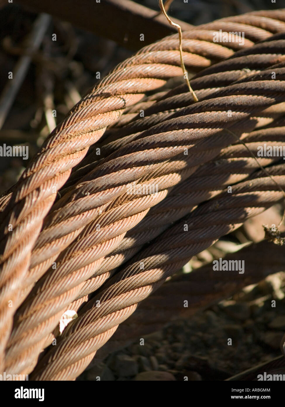 Concept concepts conceptual conceptualize conceptualization ...