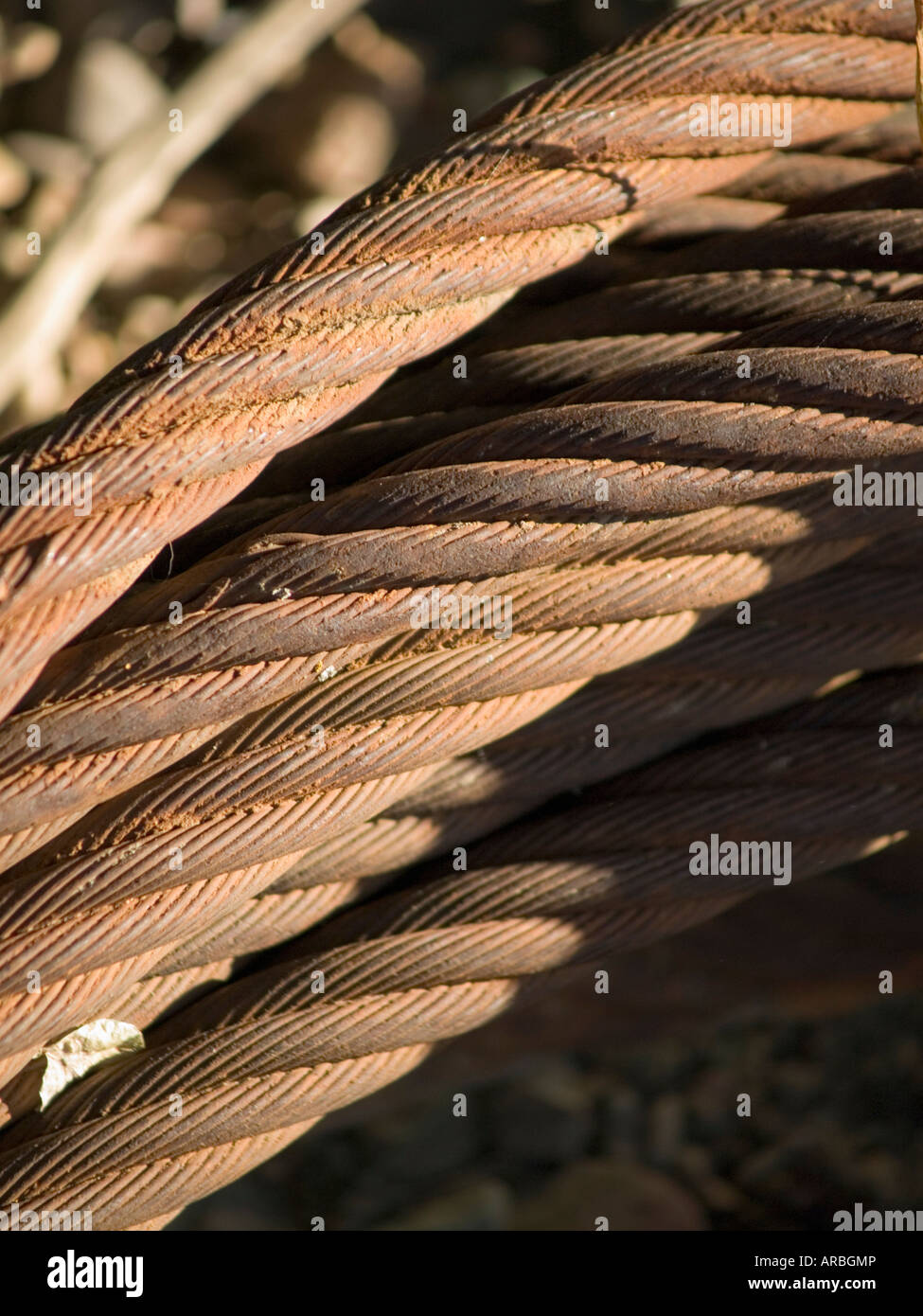 Concept concepts conceptual conceptualize conceptualization ...