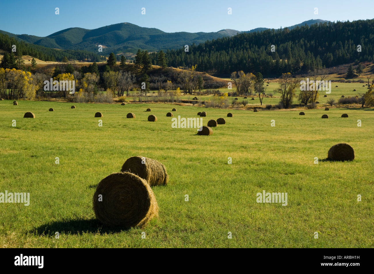 Judith Mountains High Resolution Stock Photography and Images - Alamy