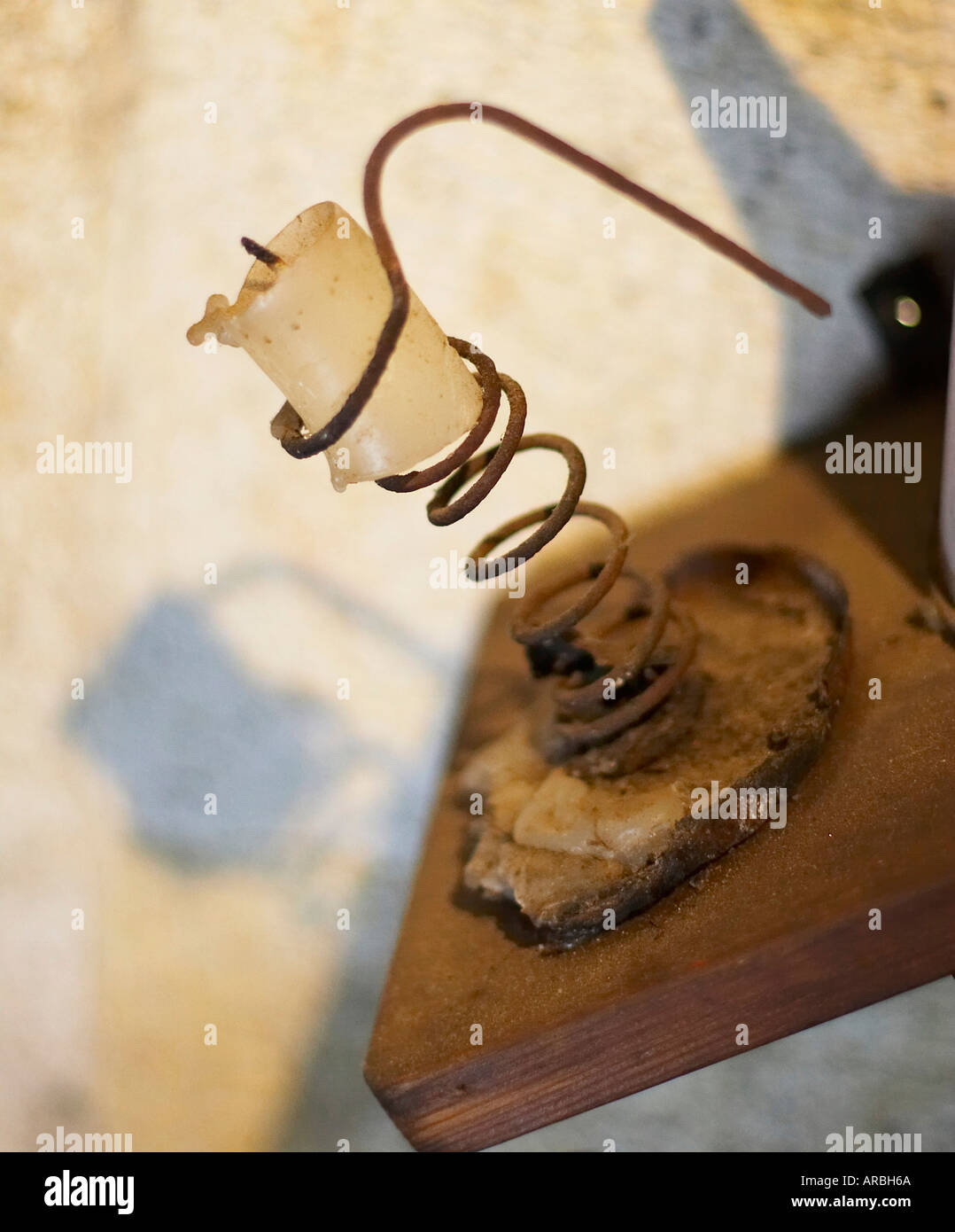 Prickets hi-res stock photography and images - Alamy