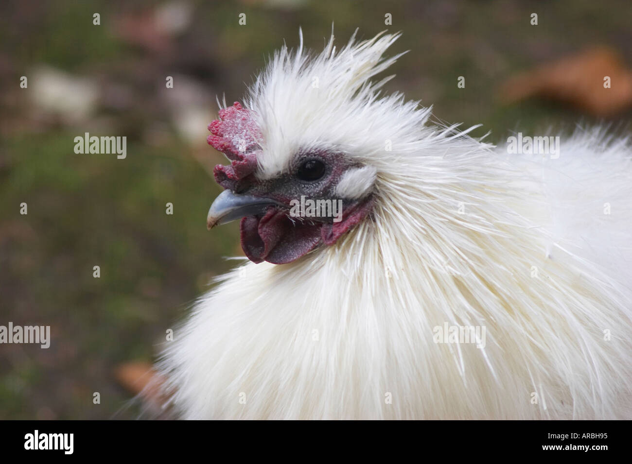 Southern lower austria hi-res stock photography and images - Alamy