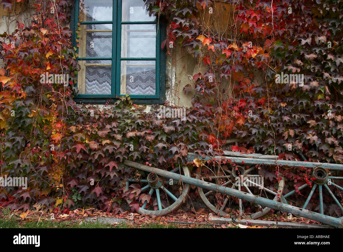house covered by autumn leaves Stock Photo - Alamy