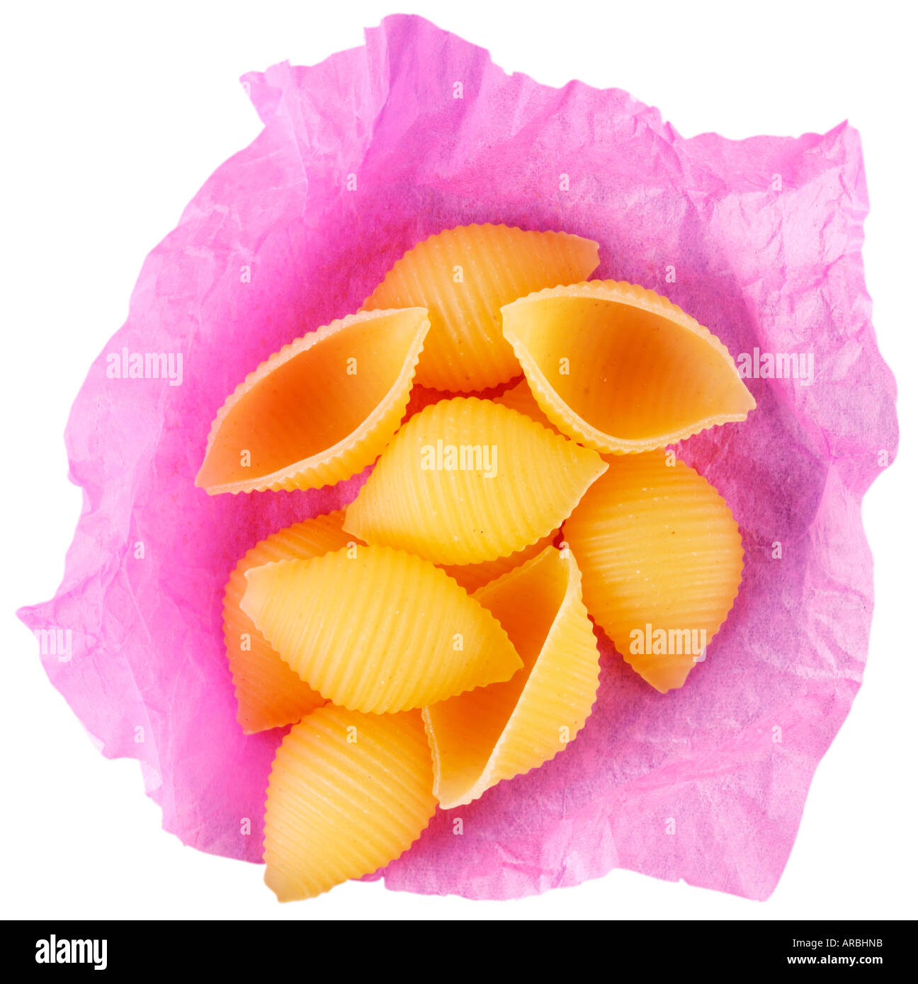 CONCHIGLIE PASTA CUT OUT Stock Photo - Alamy