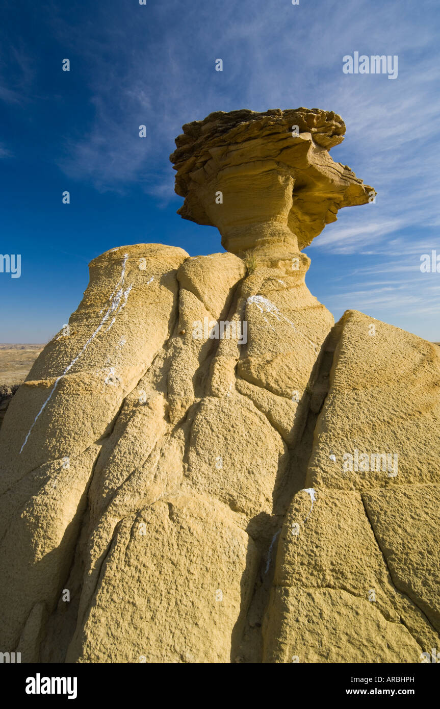 Hell creek formation hi-res stock photography and images - Alamy