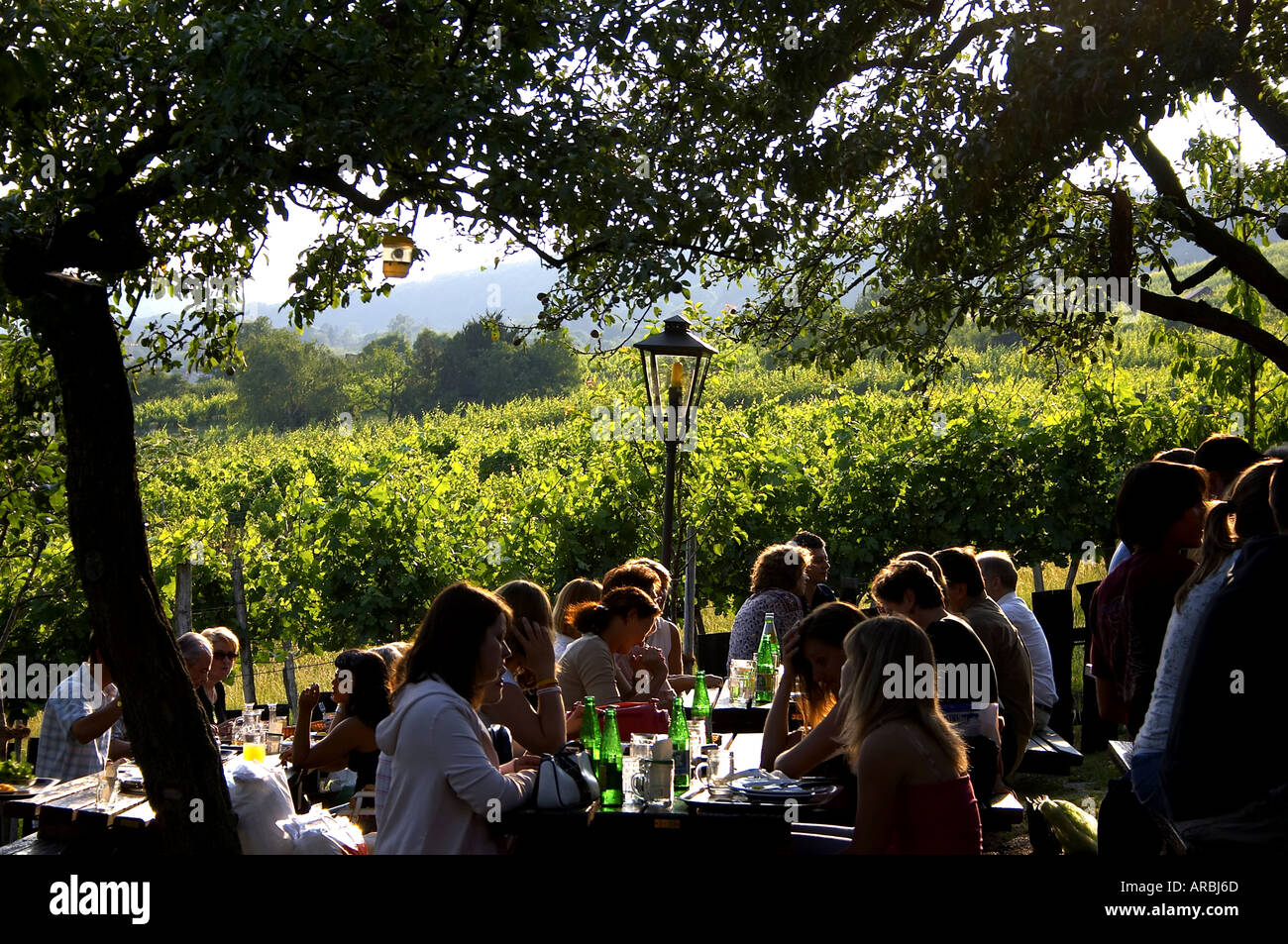 people at a viennese Heurigen Stock Photo - Alamy