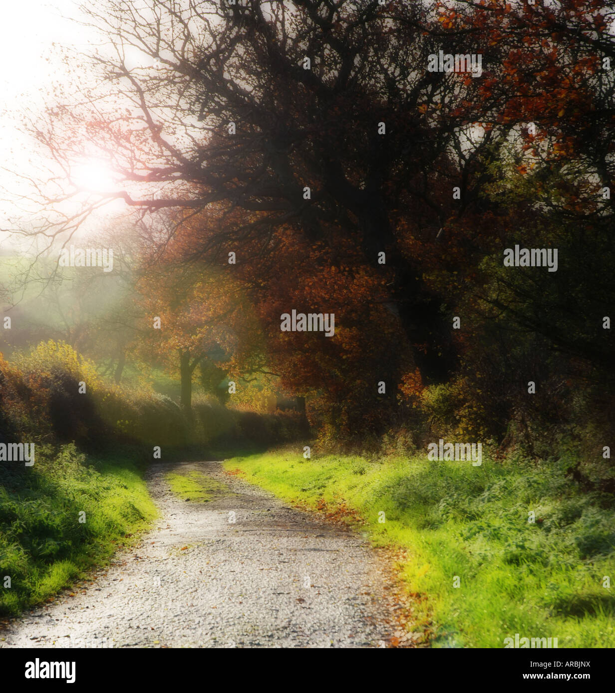 Hobbit country hi-res stock photography and images - Alamy