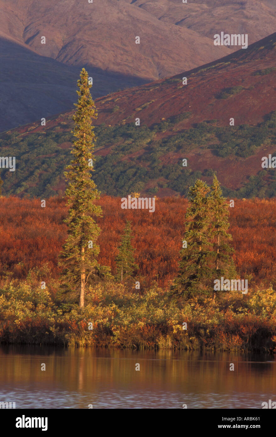 Alaska landschaft hi-res stock photography and images - Alamy