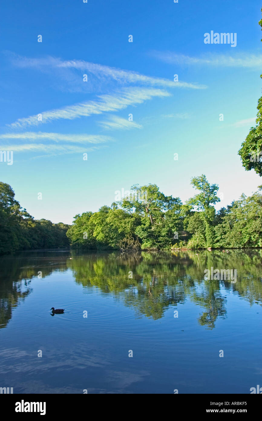 Raby mere hi-res stock photography and images - Alamy