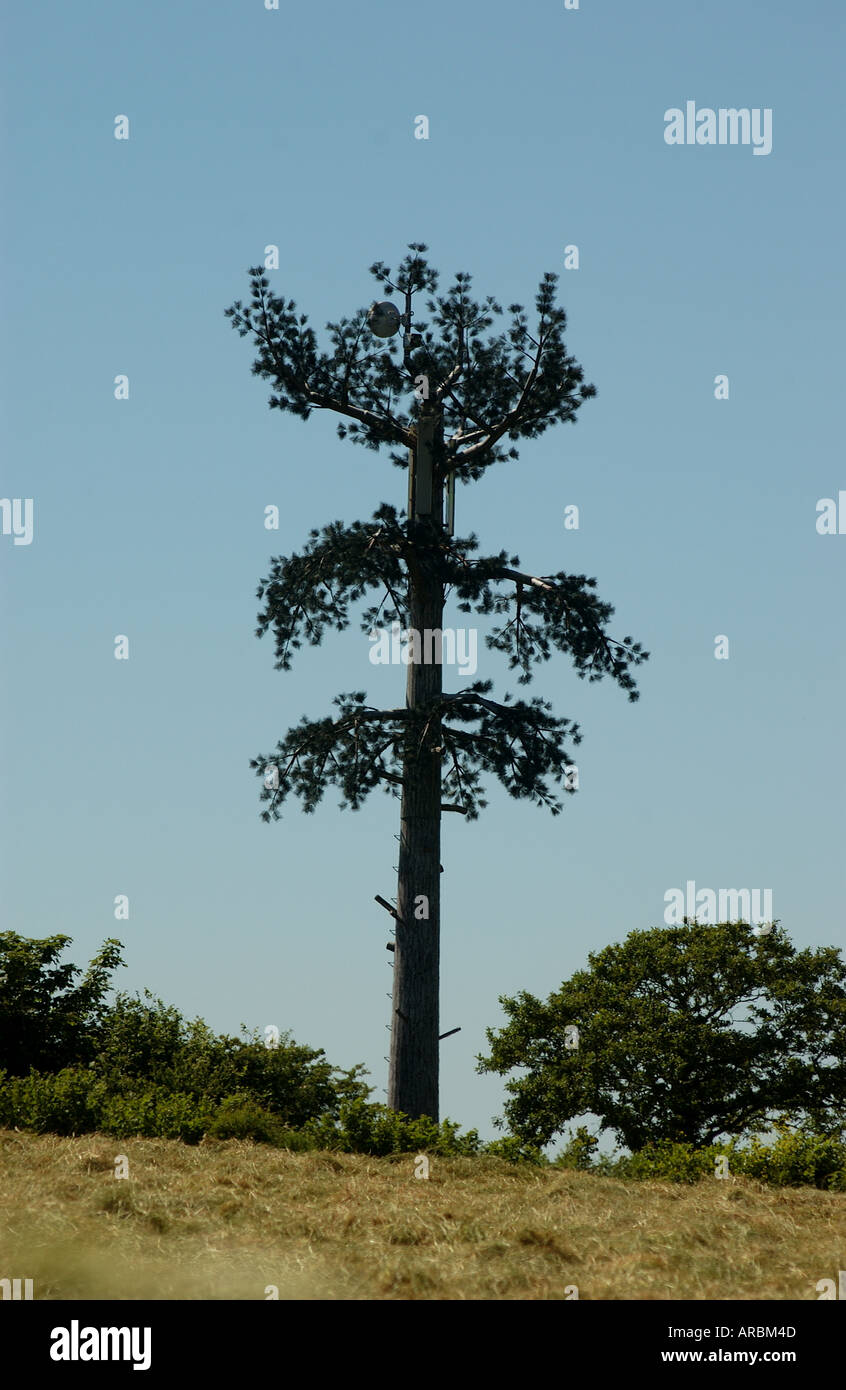 mobile phone mast disguised as tree Stock Photo - Alamy
