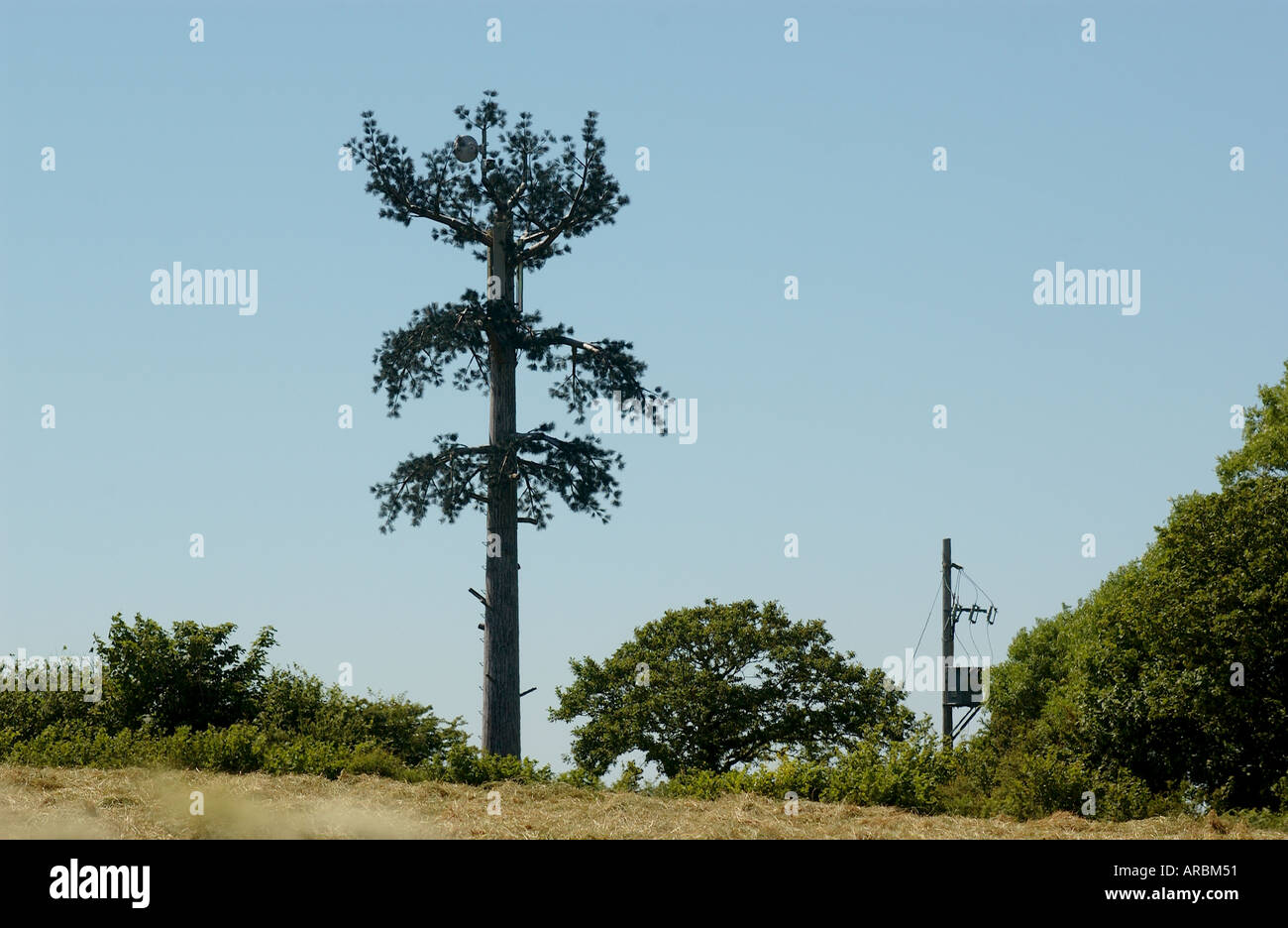 mobile phone mast disguised as tree Stock Photo - Alamy