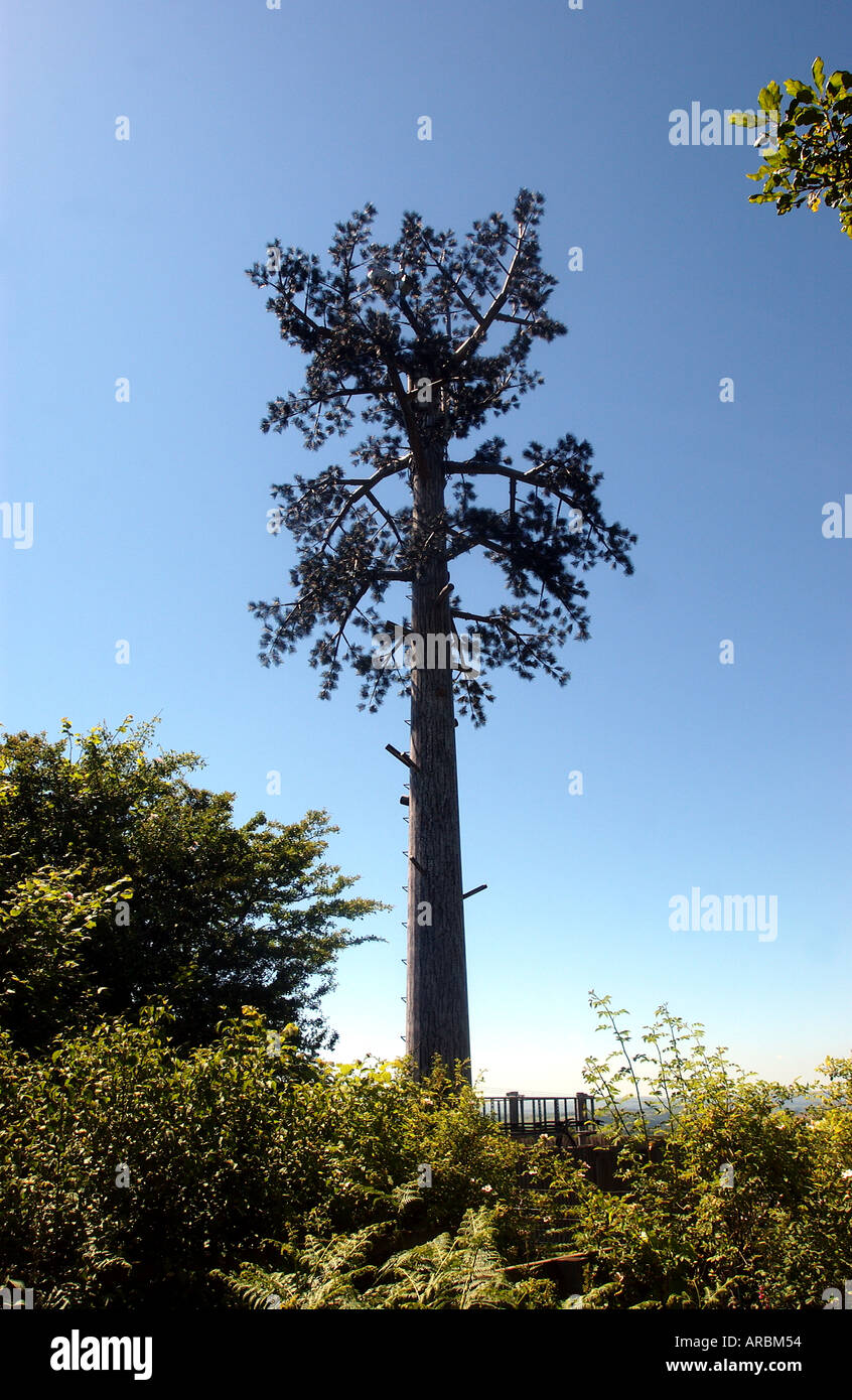 mobile phone mast disguised as tree Stock Photo - Alamy