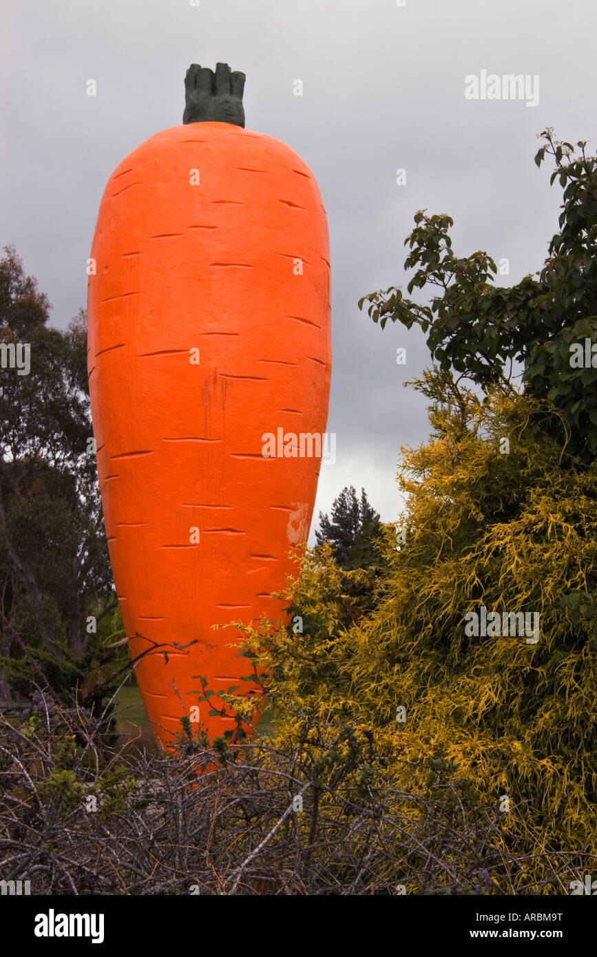 A large fibreglass carrot, an icon and symbolic of the carrot growing ...