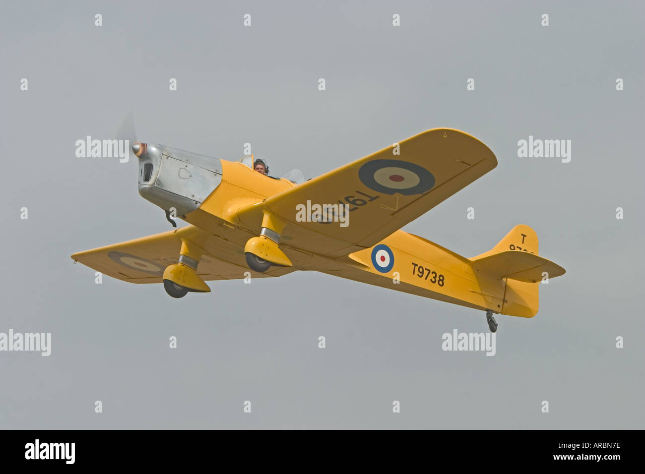 Miles hawk trainer hi-res stock photography and images - Alamy