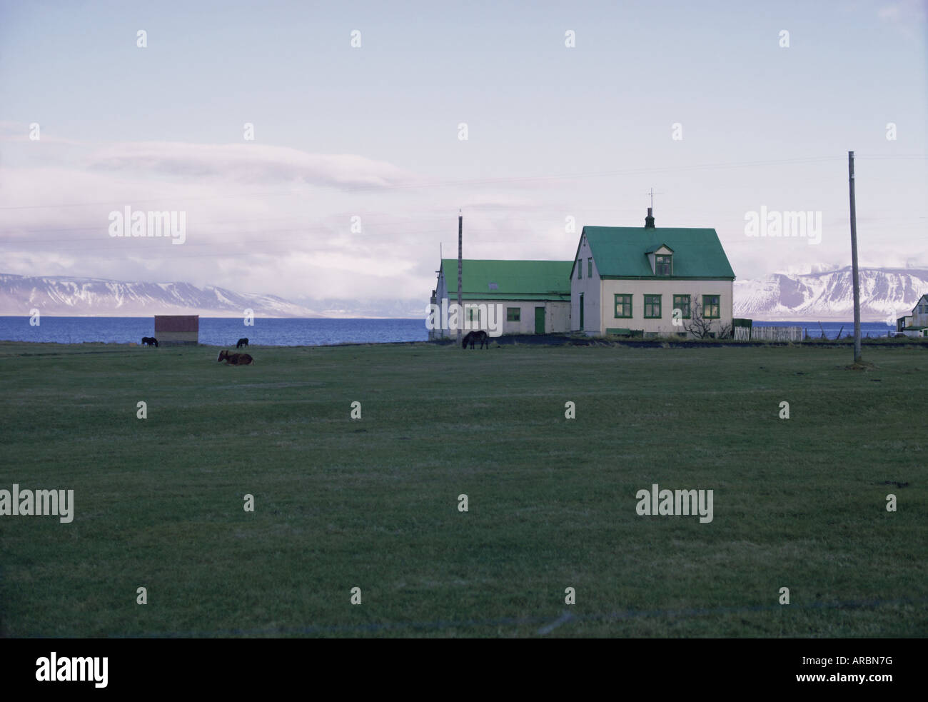 Houses on the coast, Iceland, Polar Regions Stock Photo - Alamy