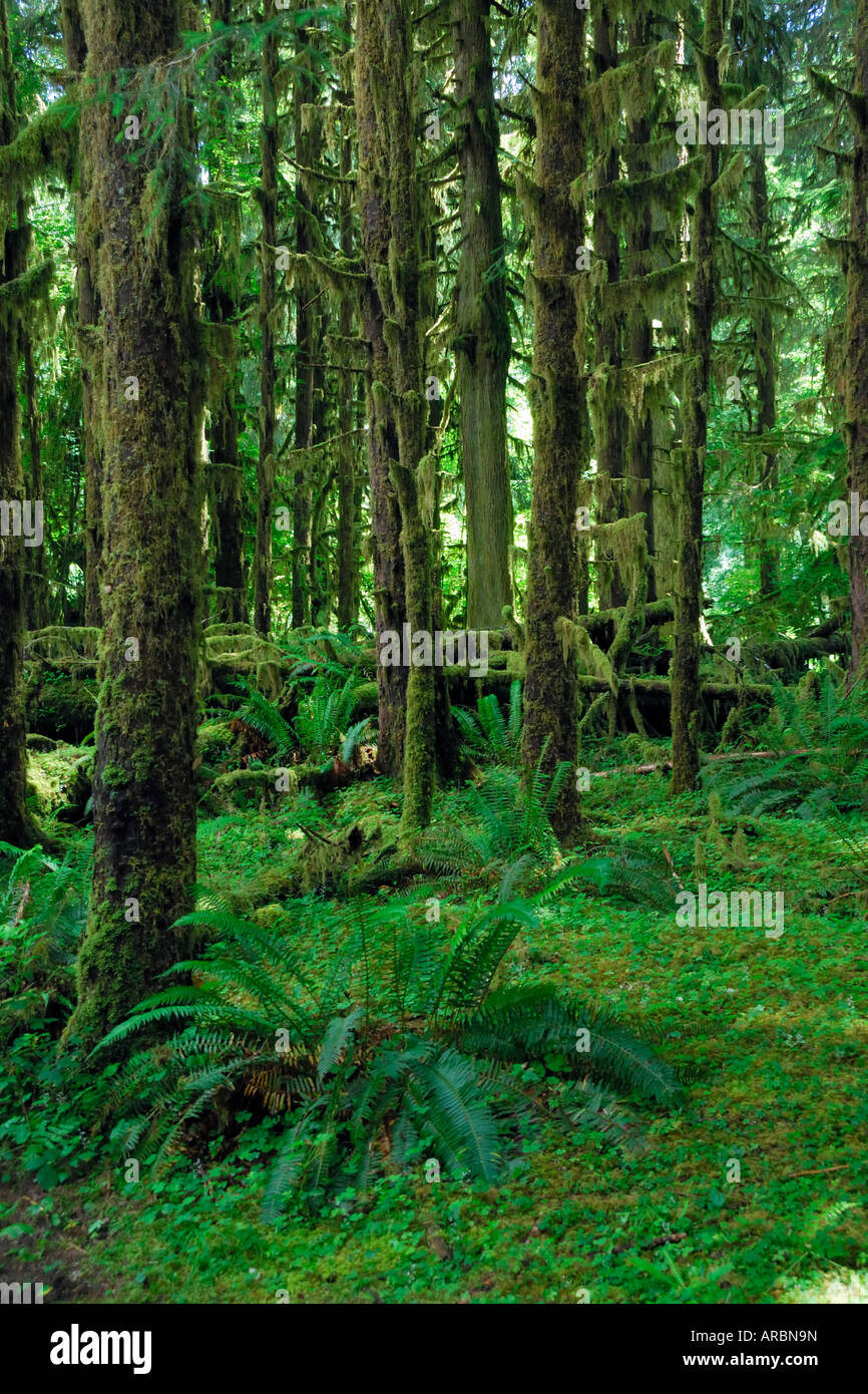Rain shadow washington hi-res stock photography and images - Alamy