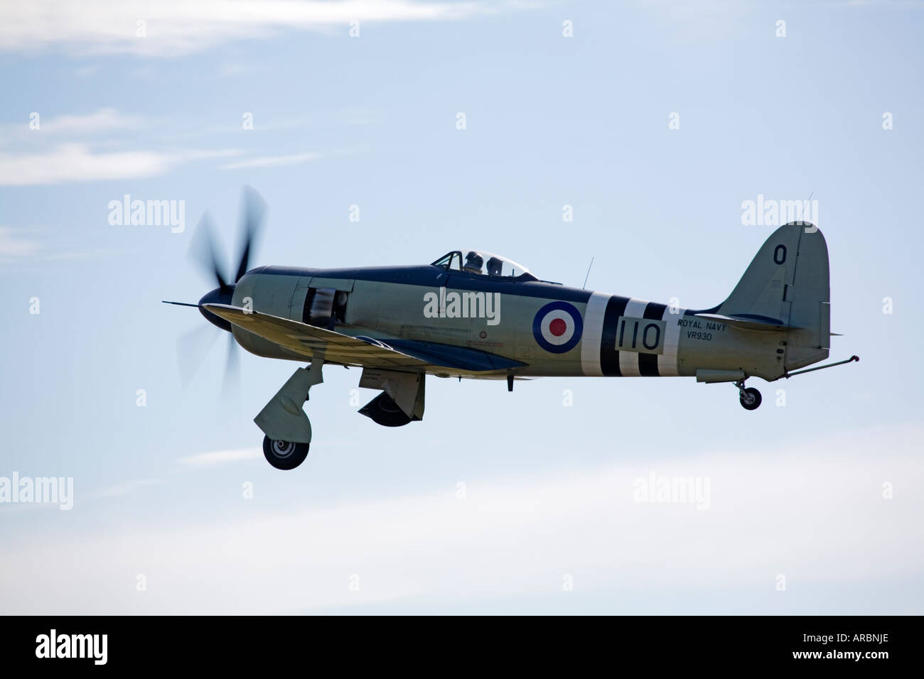 Royal Navy Historic Flight Fleet Air Arm Sea Fury FB11 flown by ...