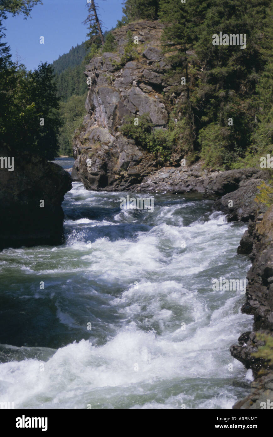 B c british columbia canada canadian forest hi-res stock photography ...