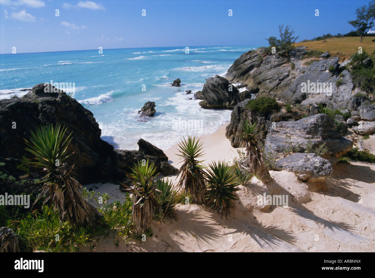 South shore of bermuda hi-res stock photography and images - Alamy