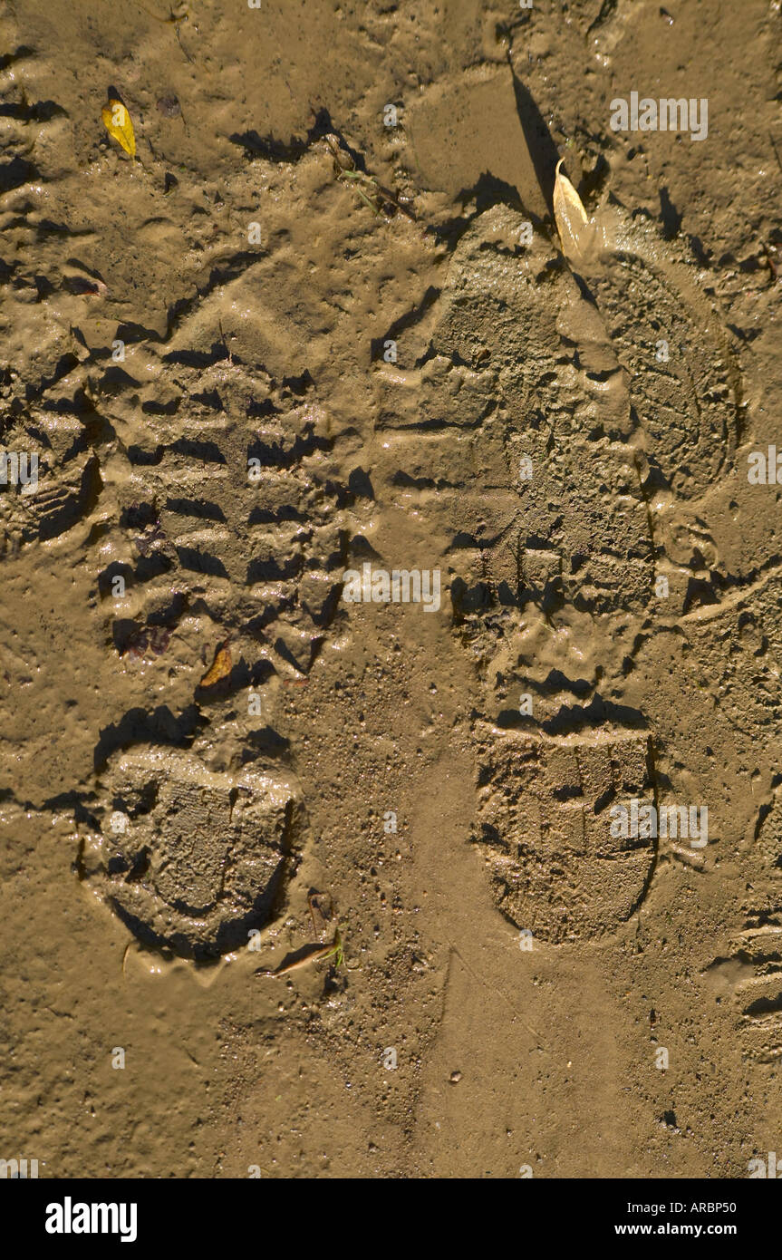Muddy human footprints hi-res stock photography and images - Alamy