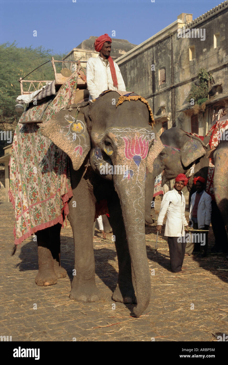 Transporting an elephant hi-res stock photography and images - Alamy