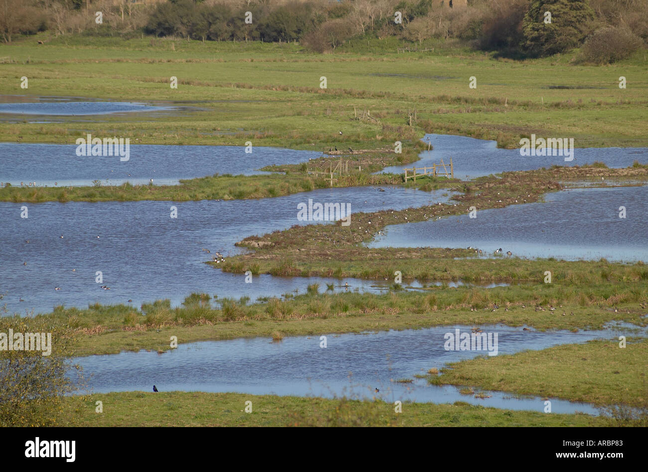 Wetlands at Pulborough Brooks, Nature Reserve, West Sussex Stock Photo ...