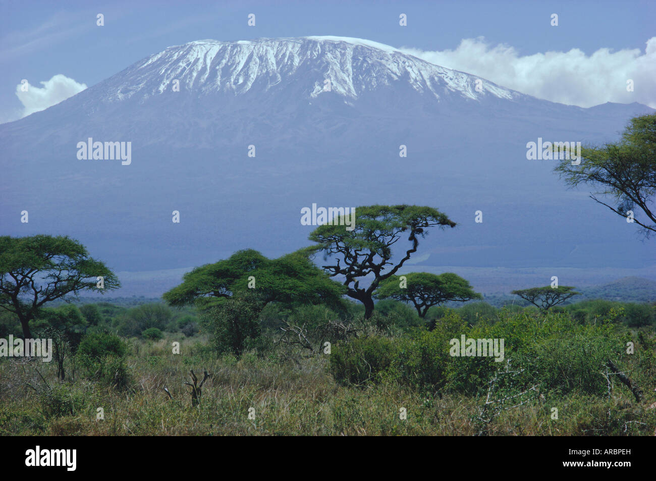 Africa scrubland rocky hi-res stock photography and images - Alamy