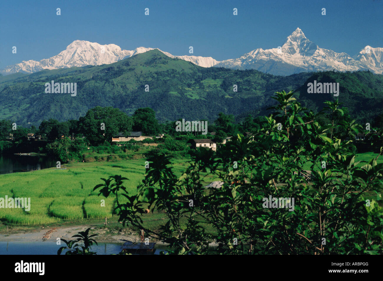Mount machapuchare hi-res stock photography and images - Alamy