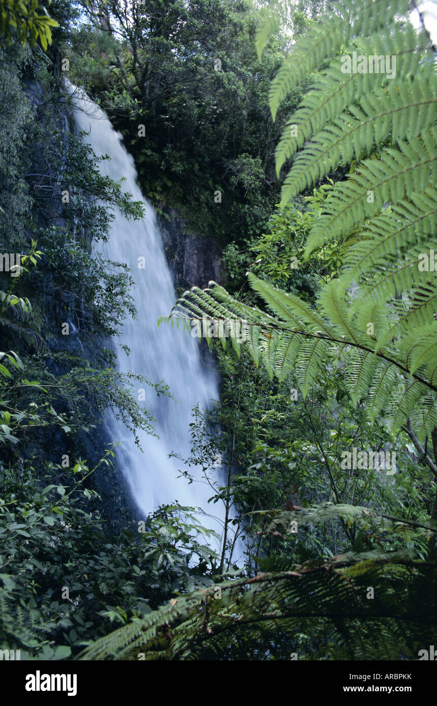 Te Wairoa New Zealand High Resolution Stock Photography and Images - Alamy