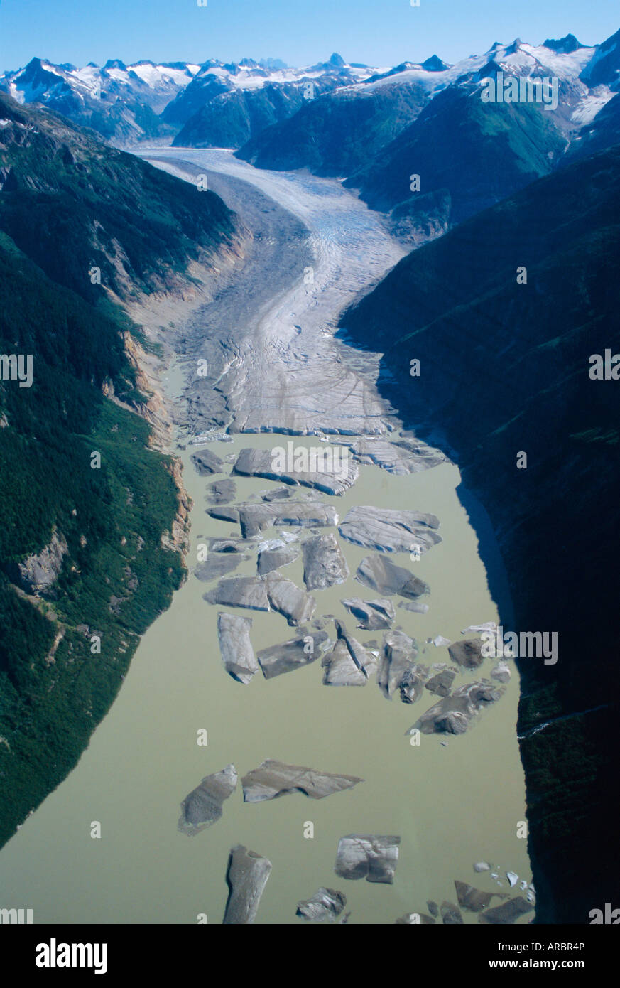 Glacier flowing from the Juneau Icefield to the proglacial lake, Alaska ...