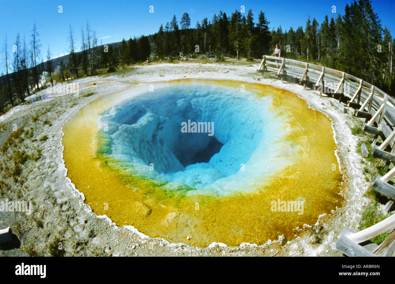 Morning Glory Pool, colours are due to algae at temperature bands ...