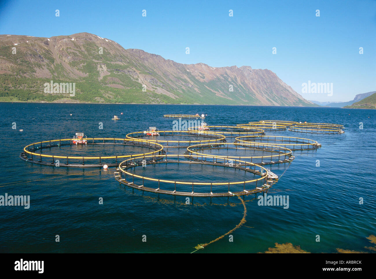 Fish farm in fjord, Altafjord, Talvik, Finnmark, Norway Stock Photo - Alamy