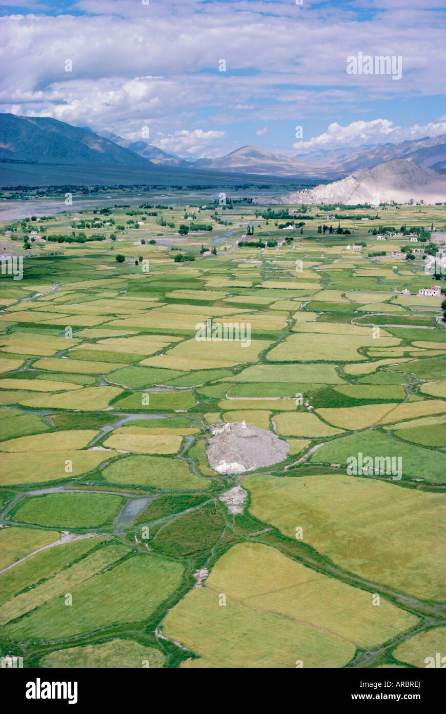 Indus valley farming hi-res stock photography and images - Alamy