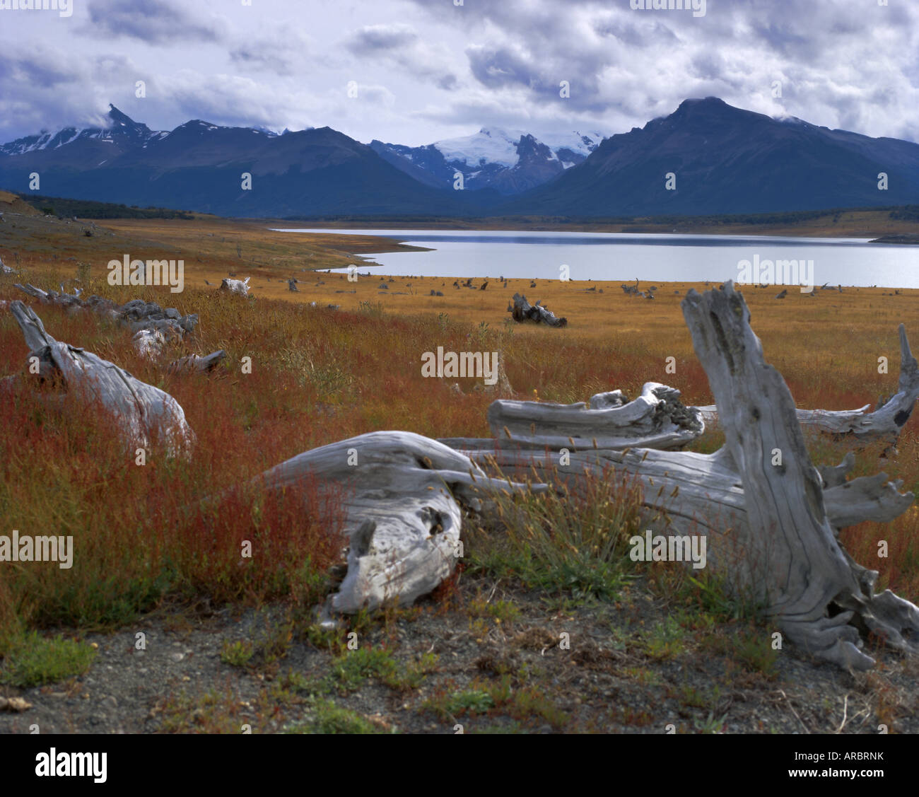 Lake Roca, Calafate Roca National Reserve, Patagonia, Argentina, South ...